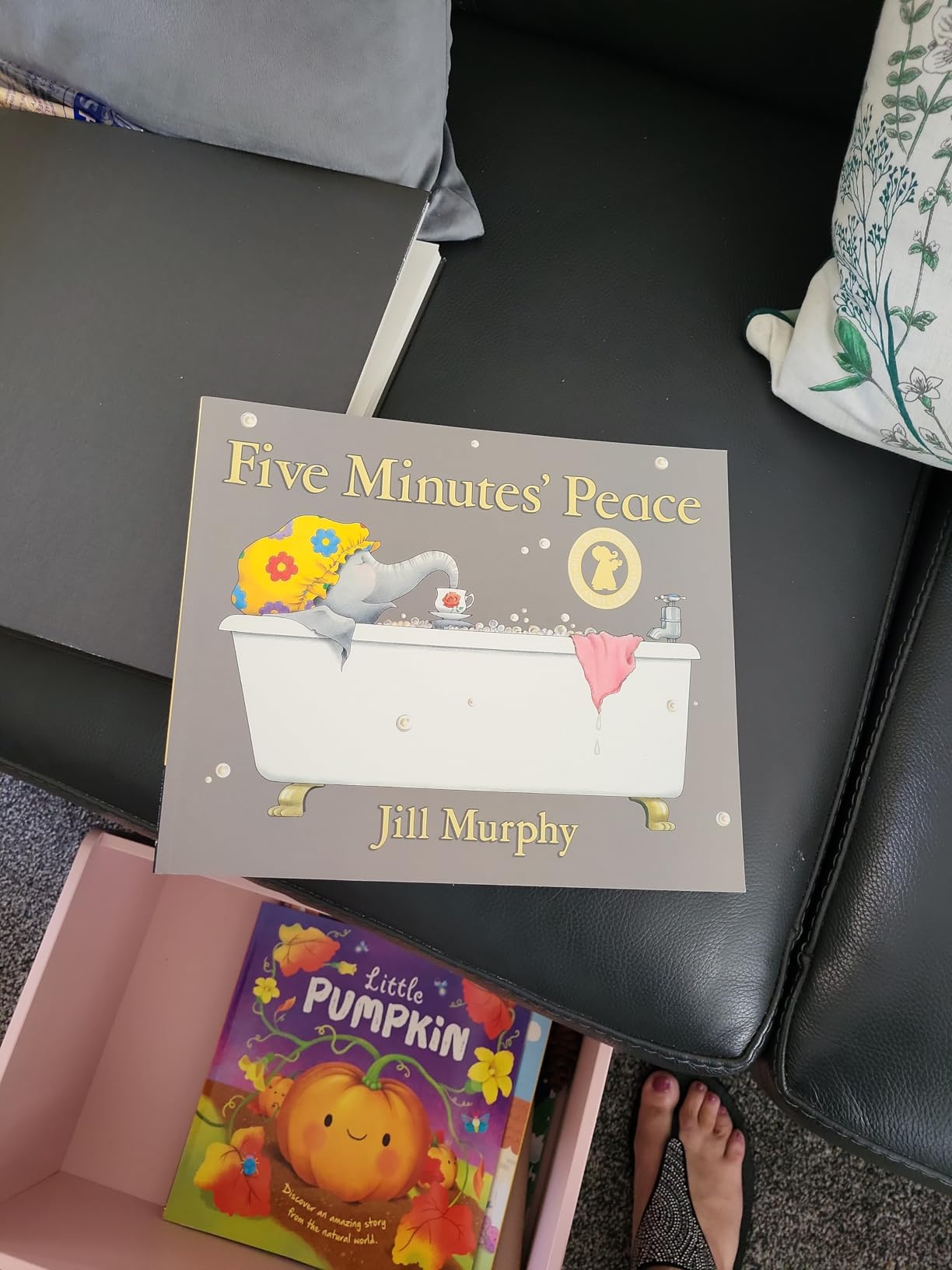 Five Minutes' Peace (Large Family): Amazon.co.uk: Murphy, Jill, Murphy ...