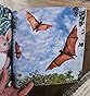 Little Bat: Educational Children's Picture Book About Bats Filled With ...