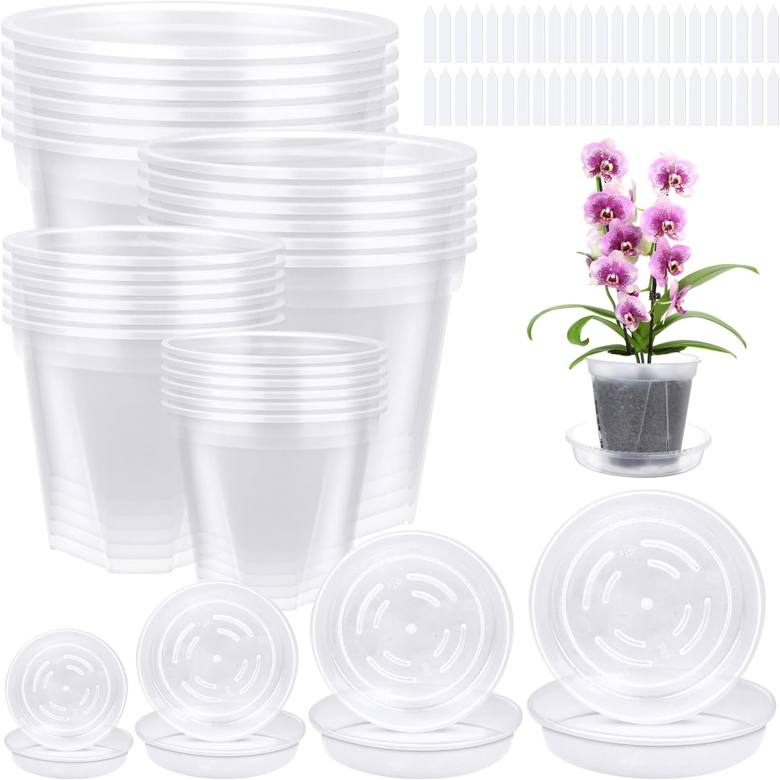 Amazon.com: karenplantsplants™ 8" Clear Plastic Nursery Pot with Trays ...