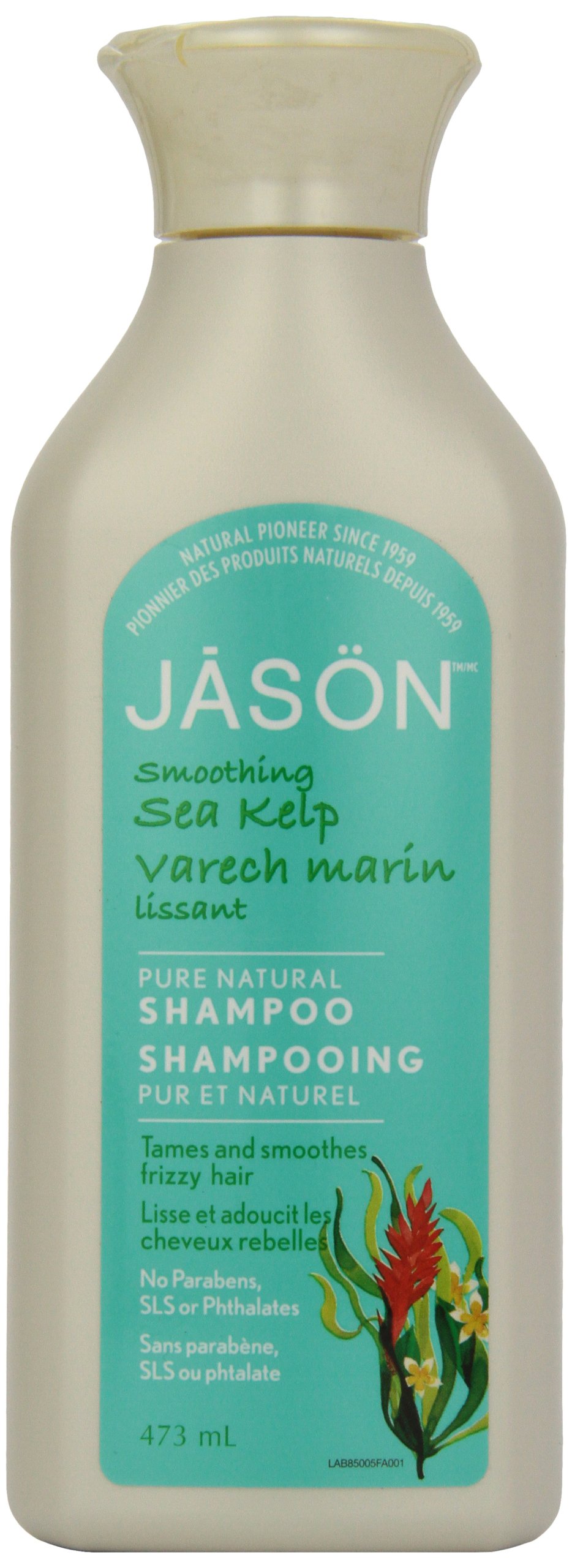 Jason Smoothing Sea Kelp Shampoo, 473ml : Amazon.ca: Beauty & Personal Care