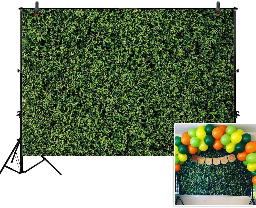 Amazon.com : Allenjoy 7x5ft Nature Green Lawn Leaves Backdrop for ...