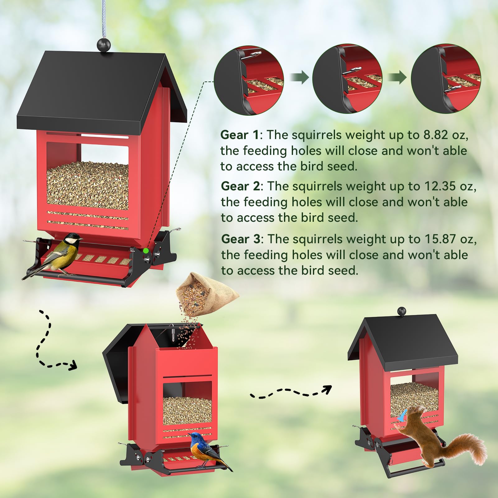 Cardinal Feeders Squirrel Proof