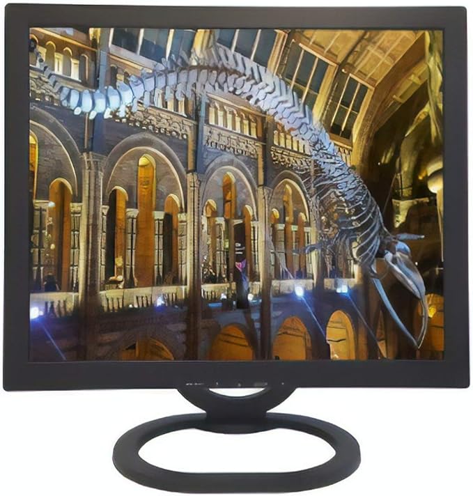 Amazon.com: ViewEra V191BN2 Active Matrix TFT LCD Monitor, 19" Screen ...