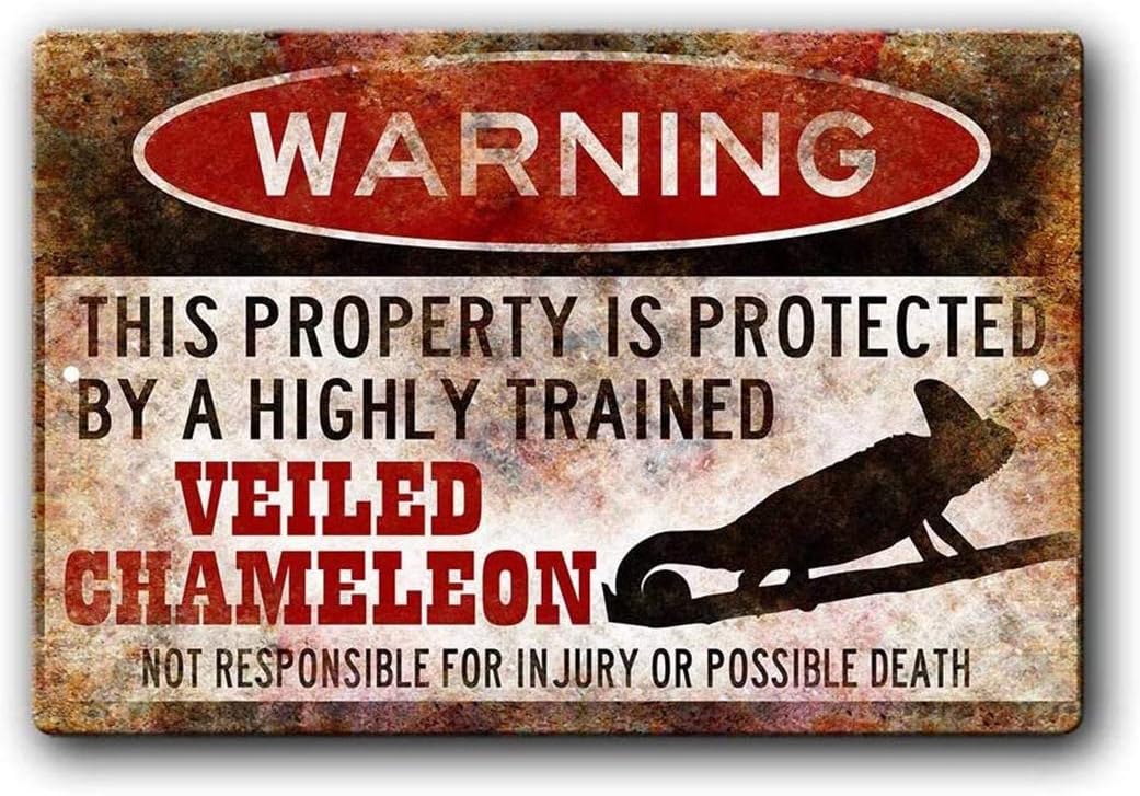 Amazon.com: FemiaD Veiled Chameleon Sign,Funny Metal Signs,Chameleon ...