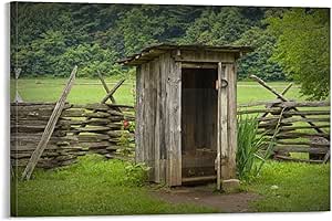 Amazon.com: Historic Outhouse Photo Great Smoky Mountains Mountain Farm ...