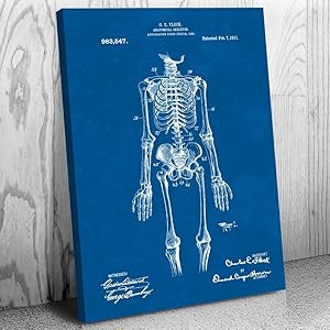 Amazon.com: Anatomical Skeleton Canvas Print, Human Anatomy Art ...