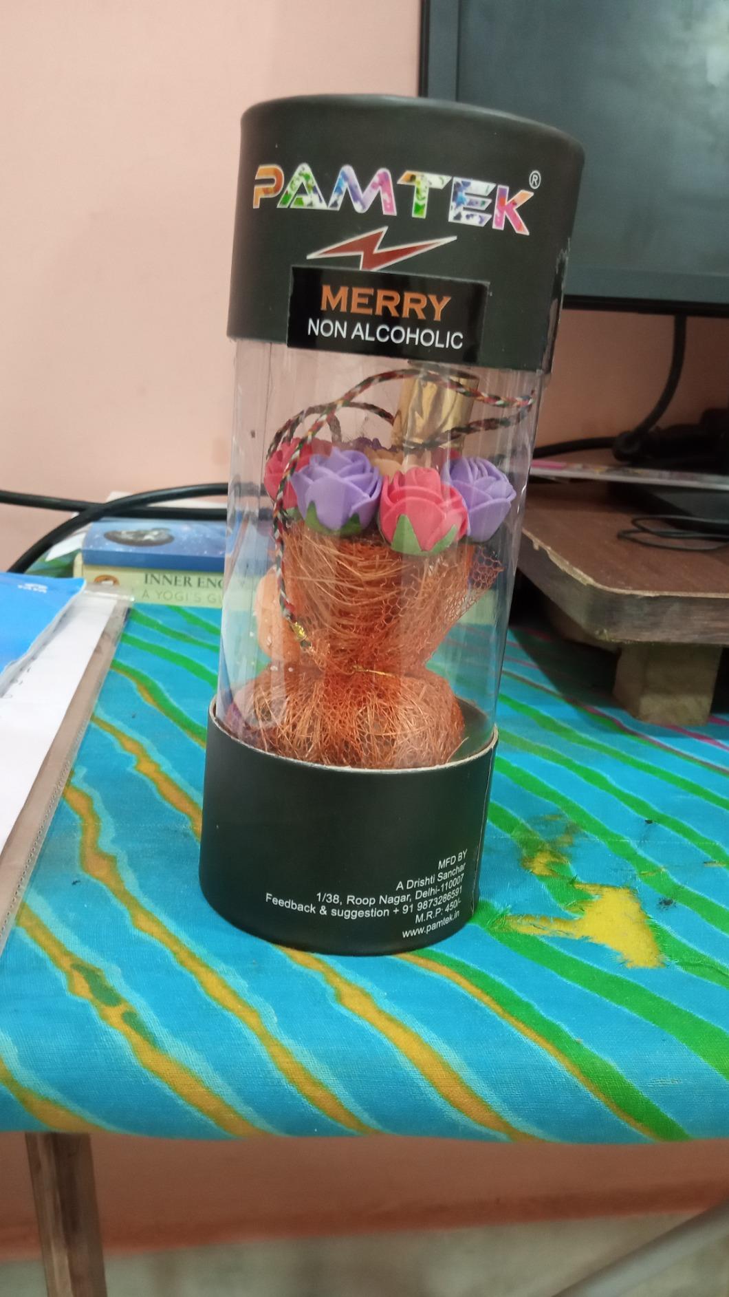 Pamtek Hanging Organic Car Air freshener & Perfume with 1-Year Life ...