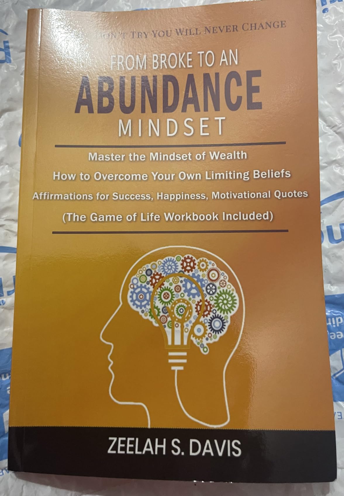 From Broke to an Abundance Mindset: If You Don’t Try You Will Never ...