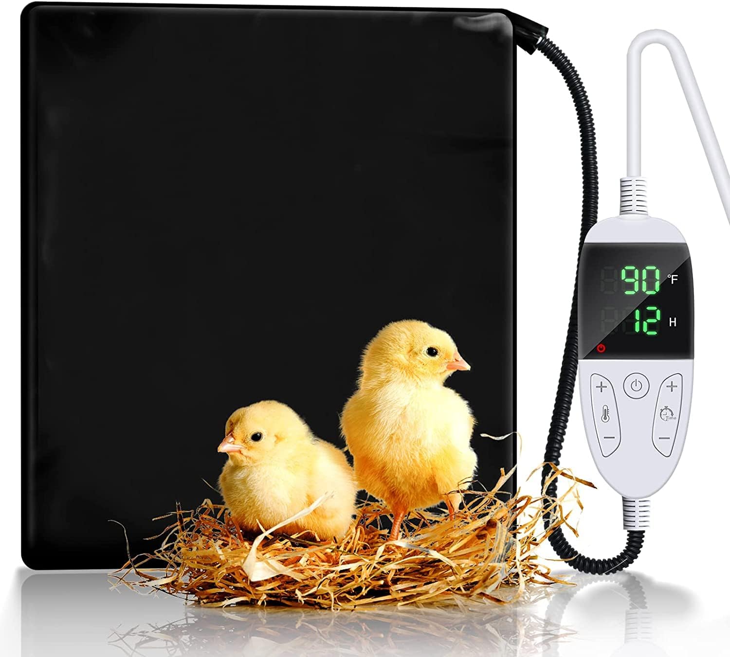 Amazon.com: nicedepot Chicken Heating Pad with Adjustable Digital ...