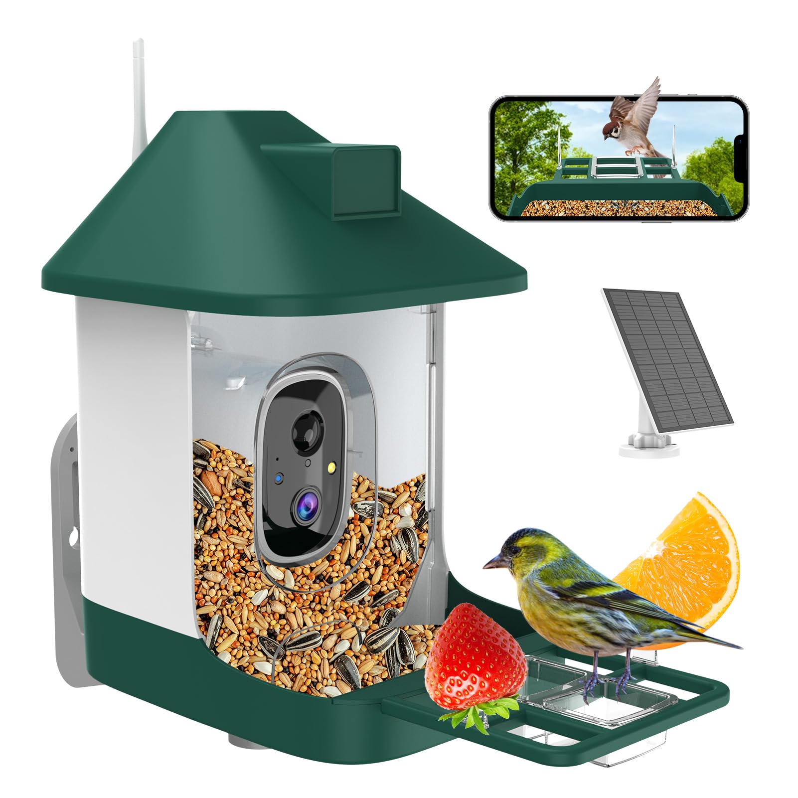 Amazon.com : Bird Feeder with Camera,AI Identify Birds Species,Smart ...