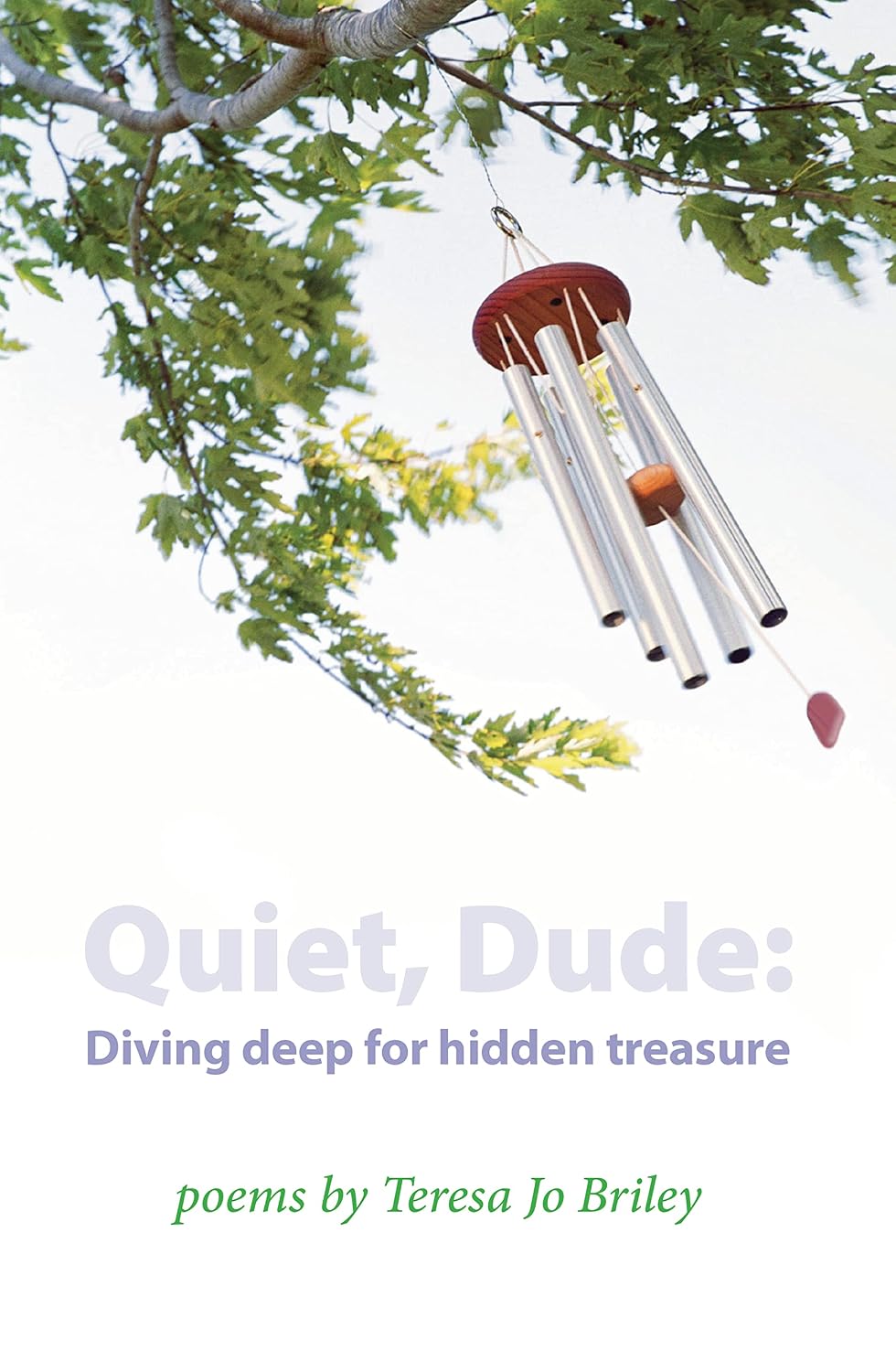 Amazon.com: Quiet, Dude : Diving deep for hidden treasure eBook ...