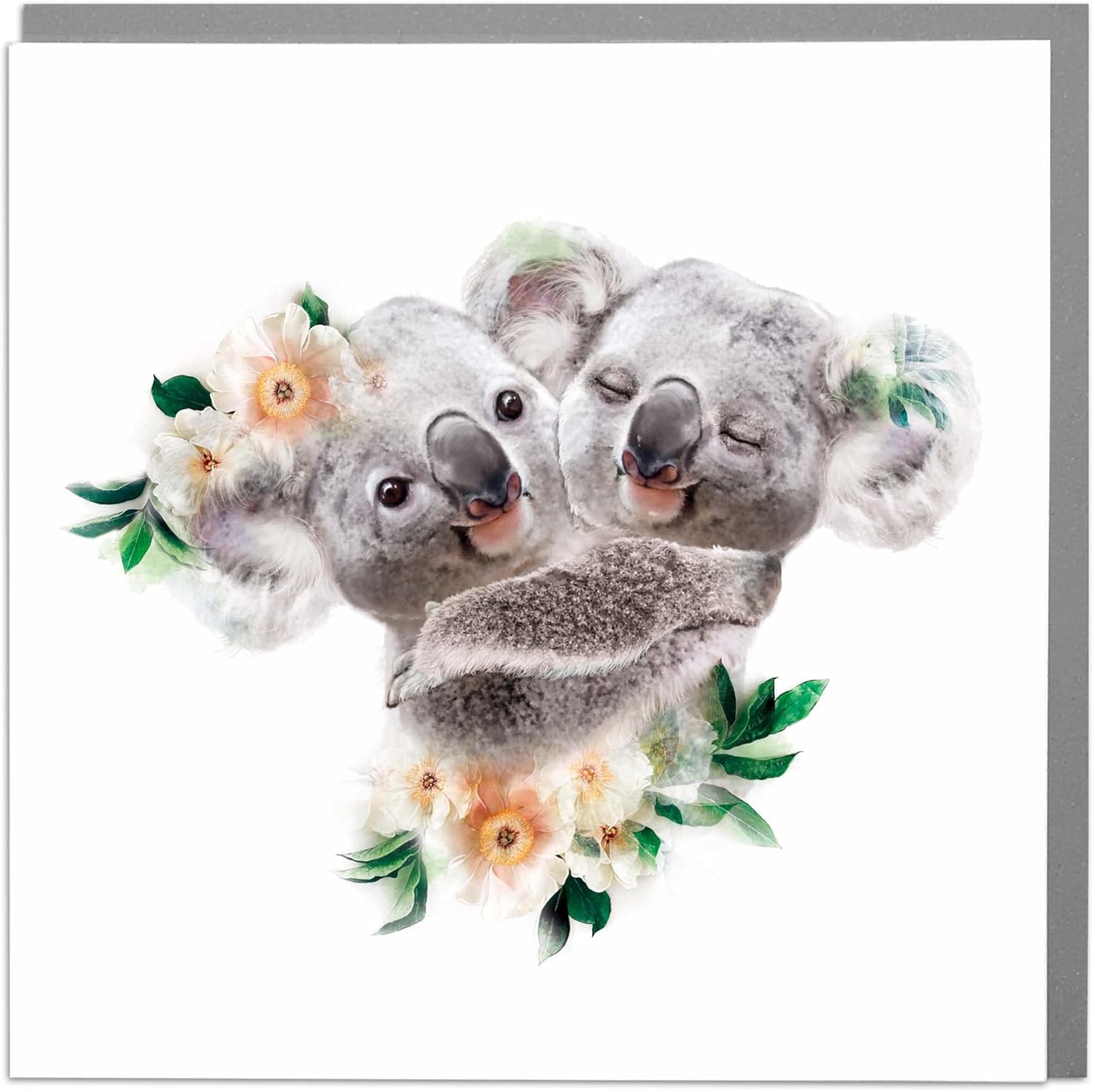 Lola Design - Wildlife Botanical Greeting Cards, Hugging Koalas Design ...