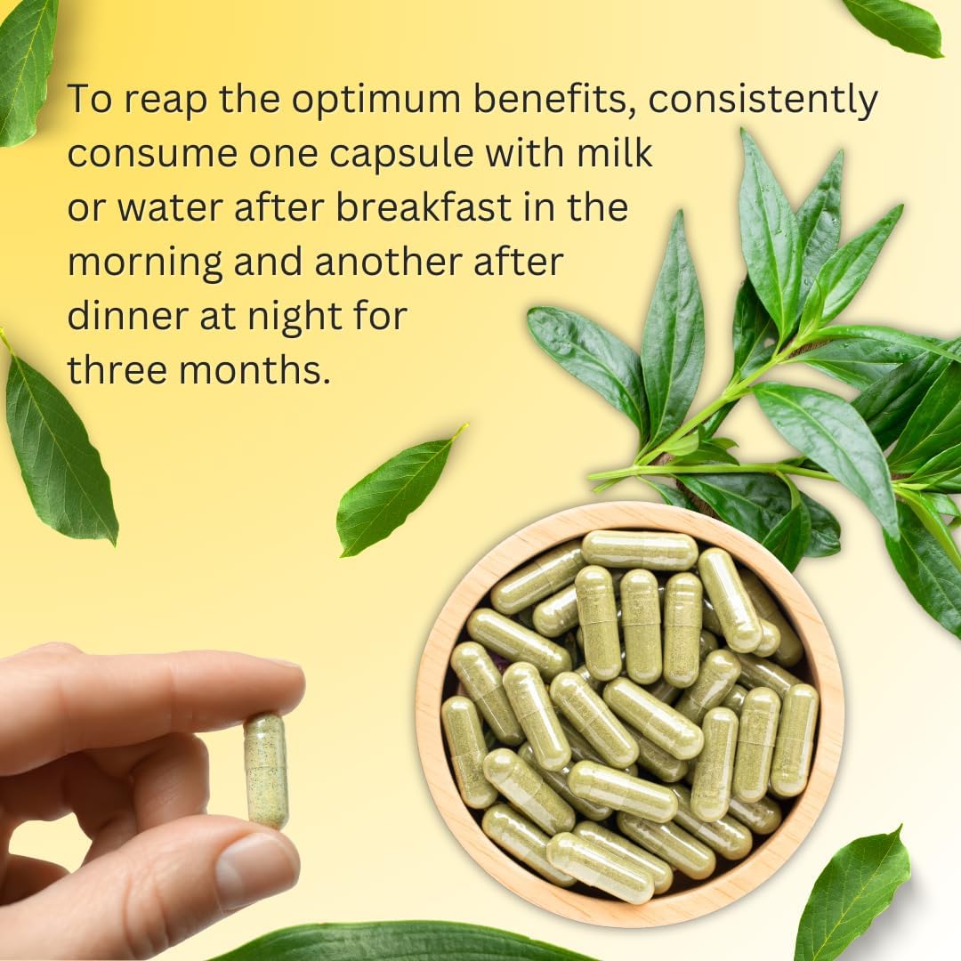 Ayurved Research Foundation Livoxil Liver Cleanse Detox & Repair Fórmula de hígado graso ...