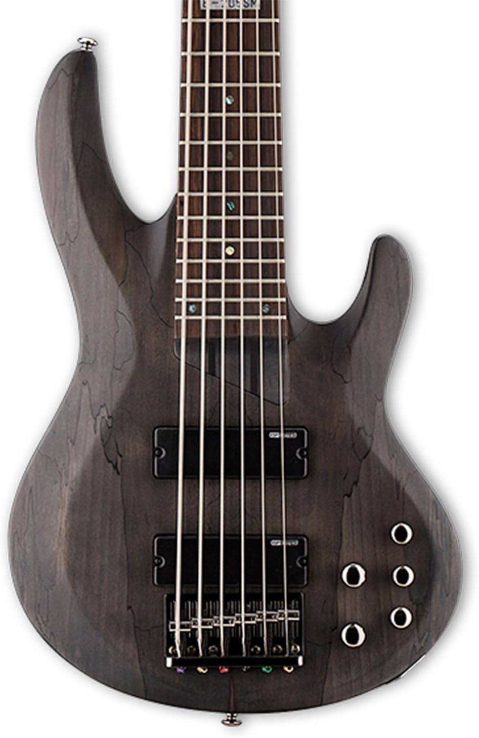 ESP LTD B-206SM Spalted Maple 6-String Bass Guitar Nepal | Ubuy