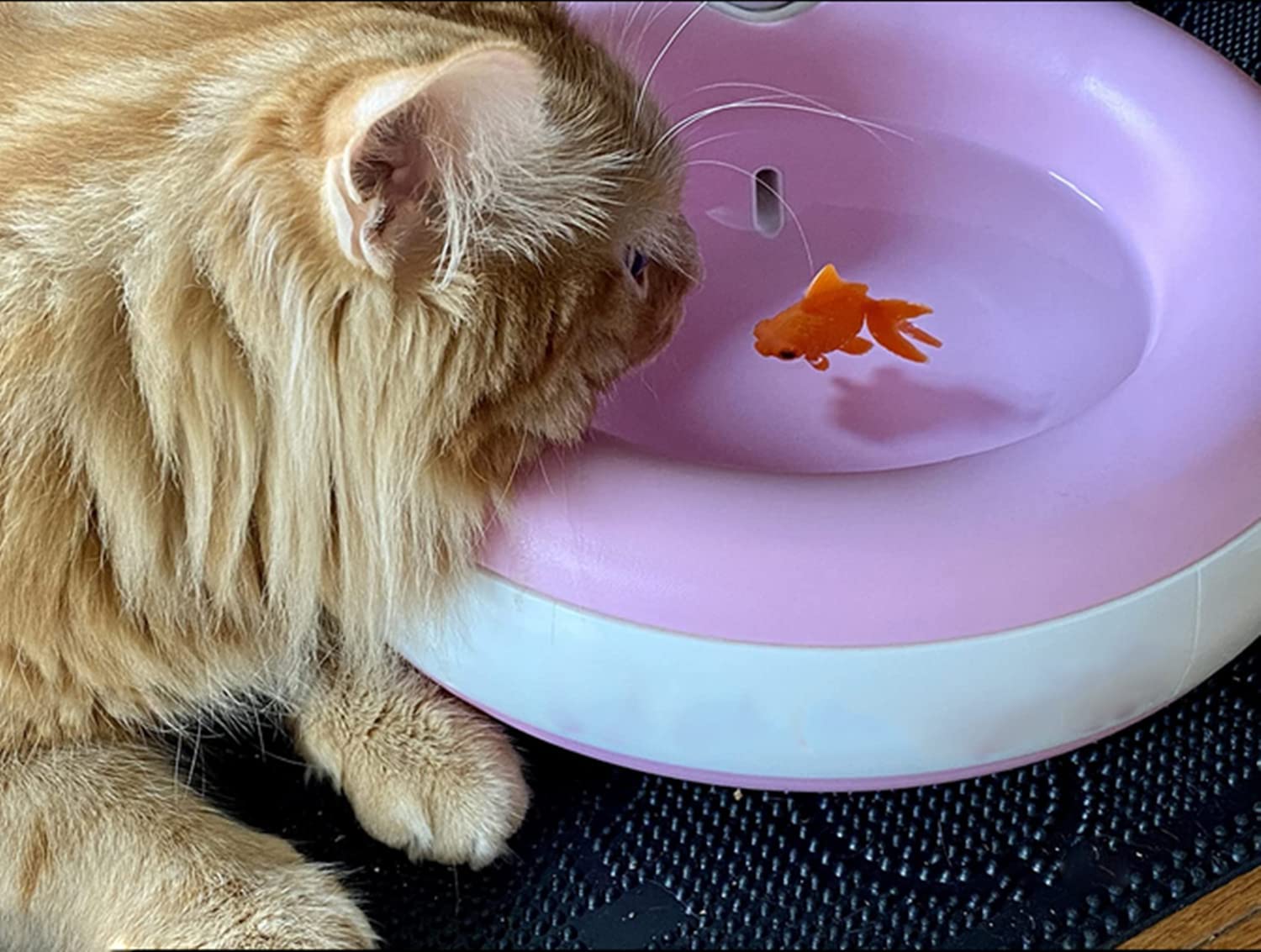 Snapklik.com : 12 Pieces Artificial Plastic Gold Fish Realistic ...