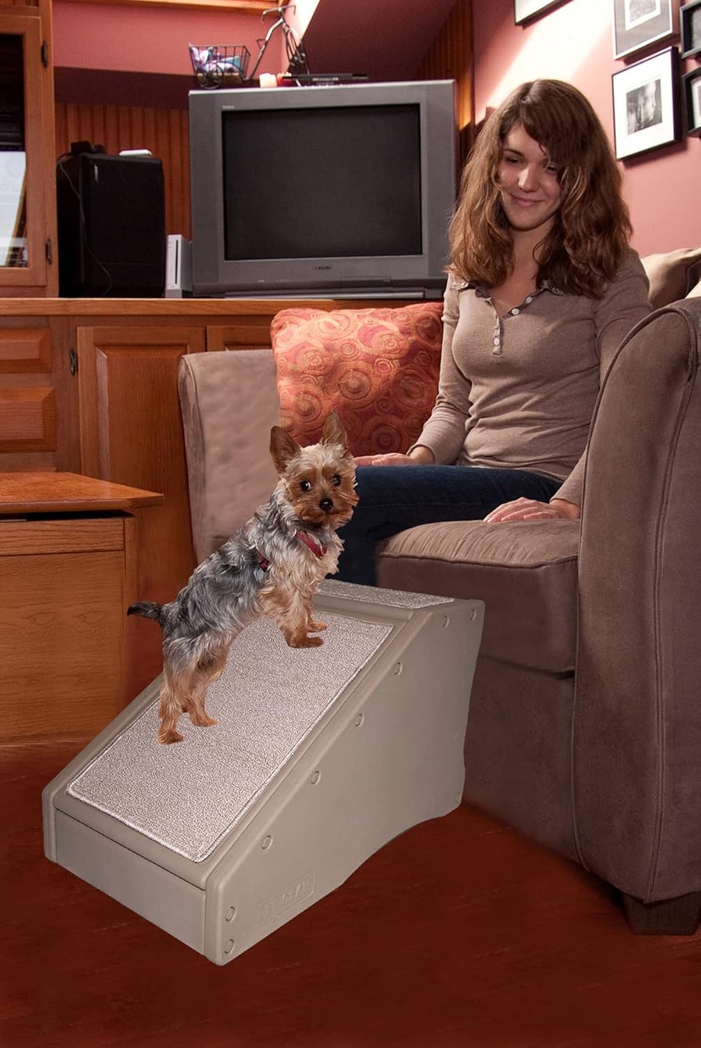 Amazon.com: Pet Gear Stramp Stair and Ramp Combination, Dog/Cat Easy ...