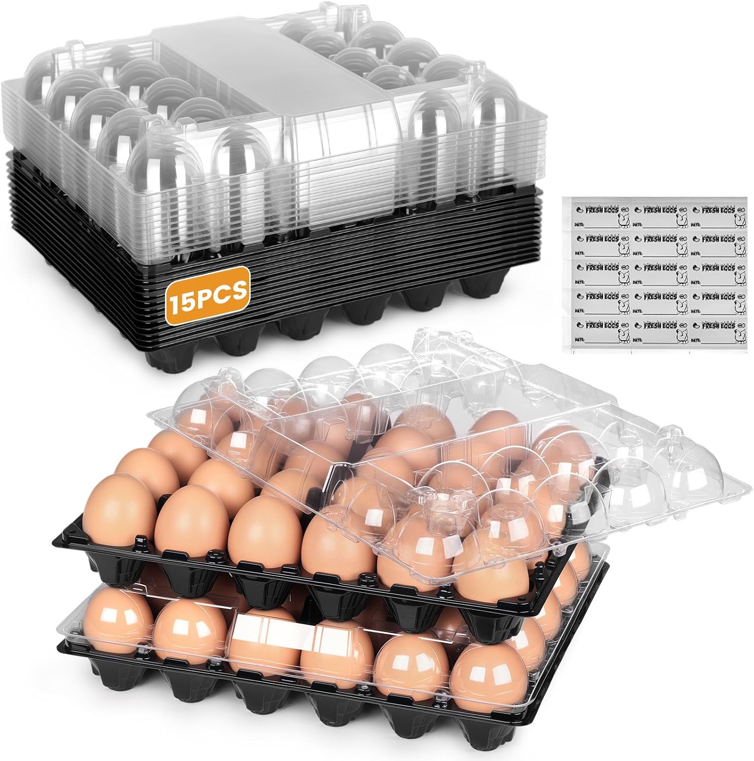 Amazon.com: HANSGO Clear Egg Cartons, 30 Count Medium Empty Egg Carton ...