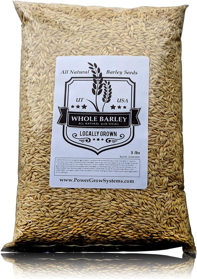 Amazon.com : Barley Seeds for Planting (5 Pounds) : Patio, Lawn & Garden
