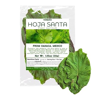 Amazon.com : Yerbero - Whole Premium Dried Hierba Santa Leaves 1.05 oz ...