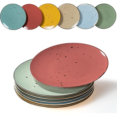 Amazon.com | ZEN Pleats Porcelain Dinner Plates 11 Inch Set of 6 (Mixed ...