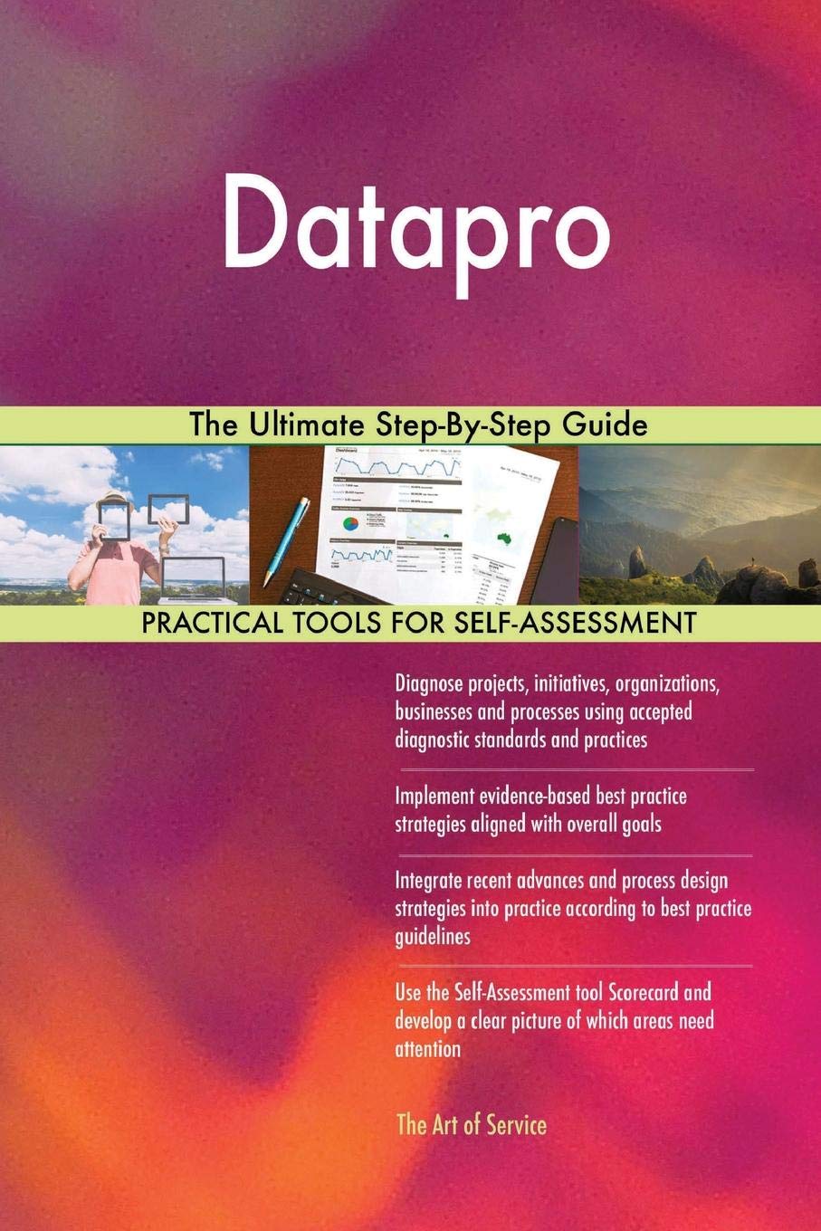 Buy Datapro The Ultimate Step-By-Step Guide Online at desertcartINDIA