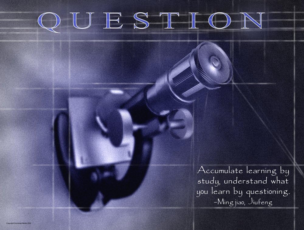 Amazon.com: Questioning Helps You Understand What You Learned Laminated ...