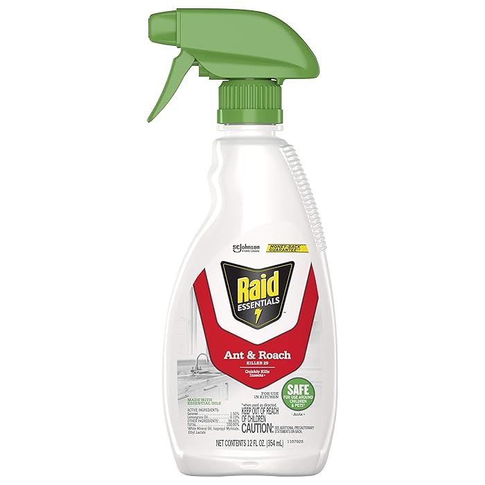 Buy Raid Essentials Ant & Roach Killer Spray Bottle, Child & Pet Safe ...