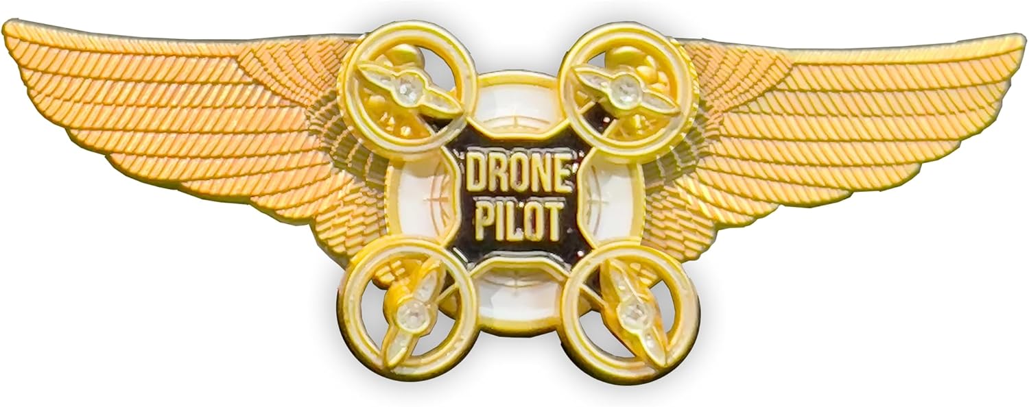 Amazon.com: LEO Challenge Coins BL4-005 Gold Full Size UAS FAA ...