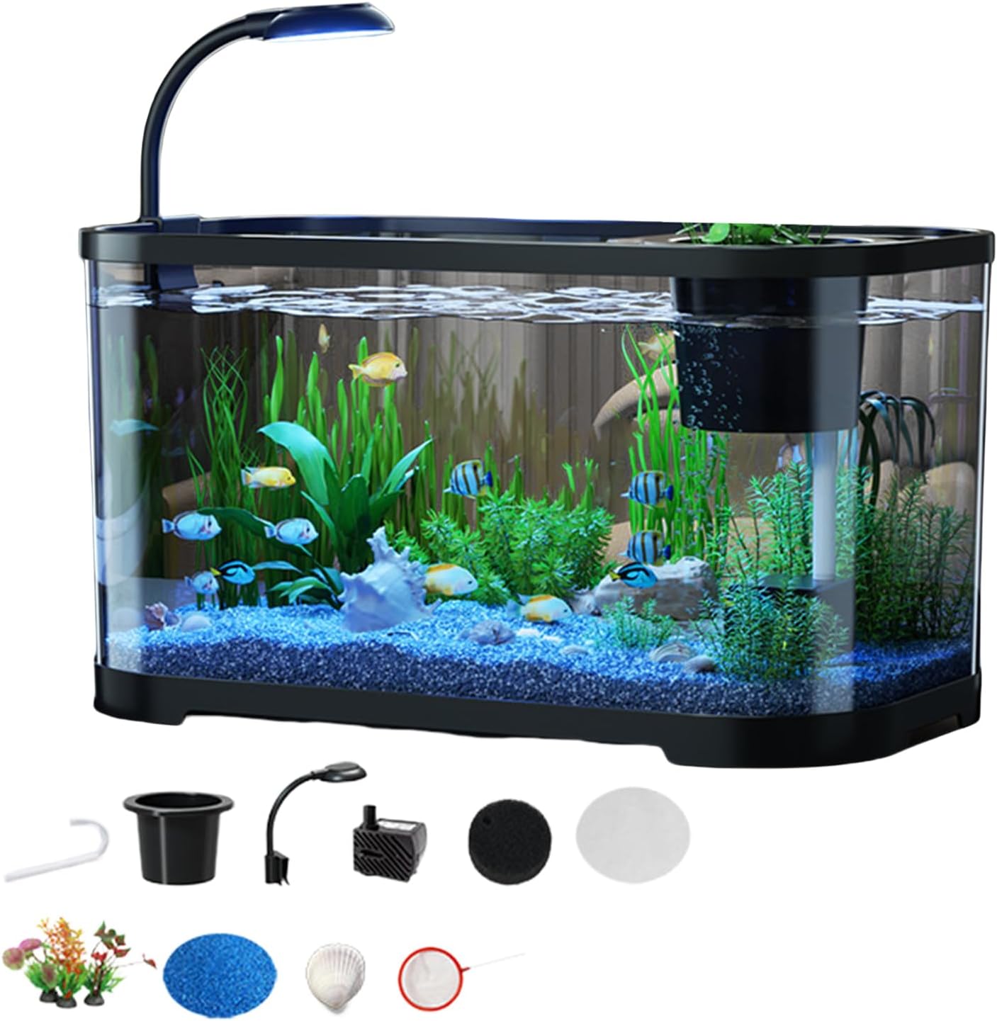 Desktop Fish Tank - Glass Transparent Aquarium Tank with Filter and ...