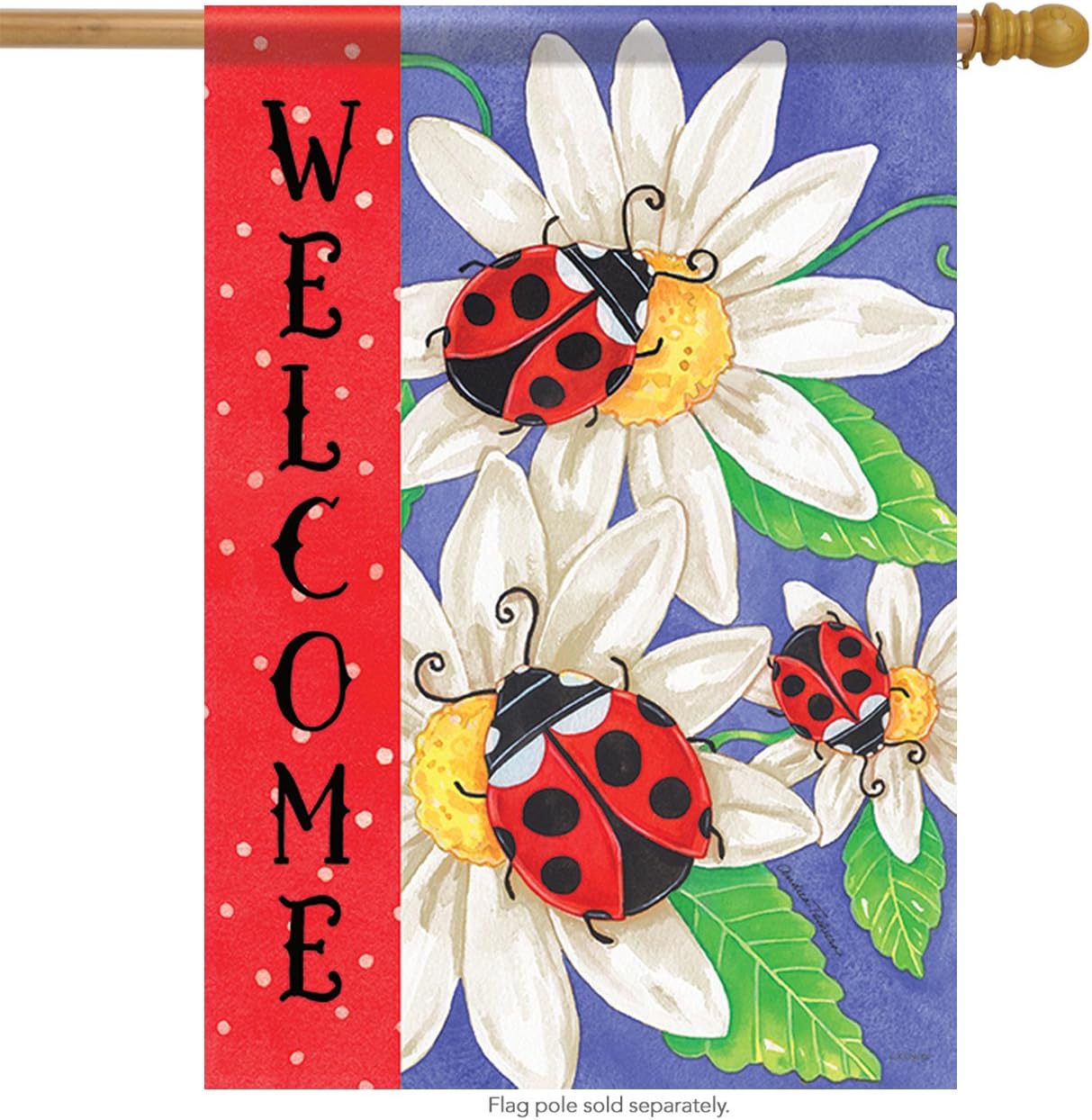 Amazon.com : Carson Home Accents FlagTrends 48798 Ladybug Trio Classic ...