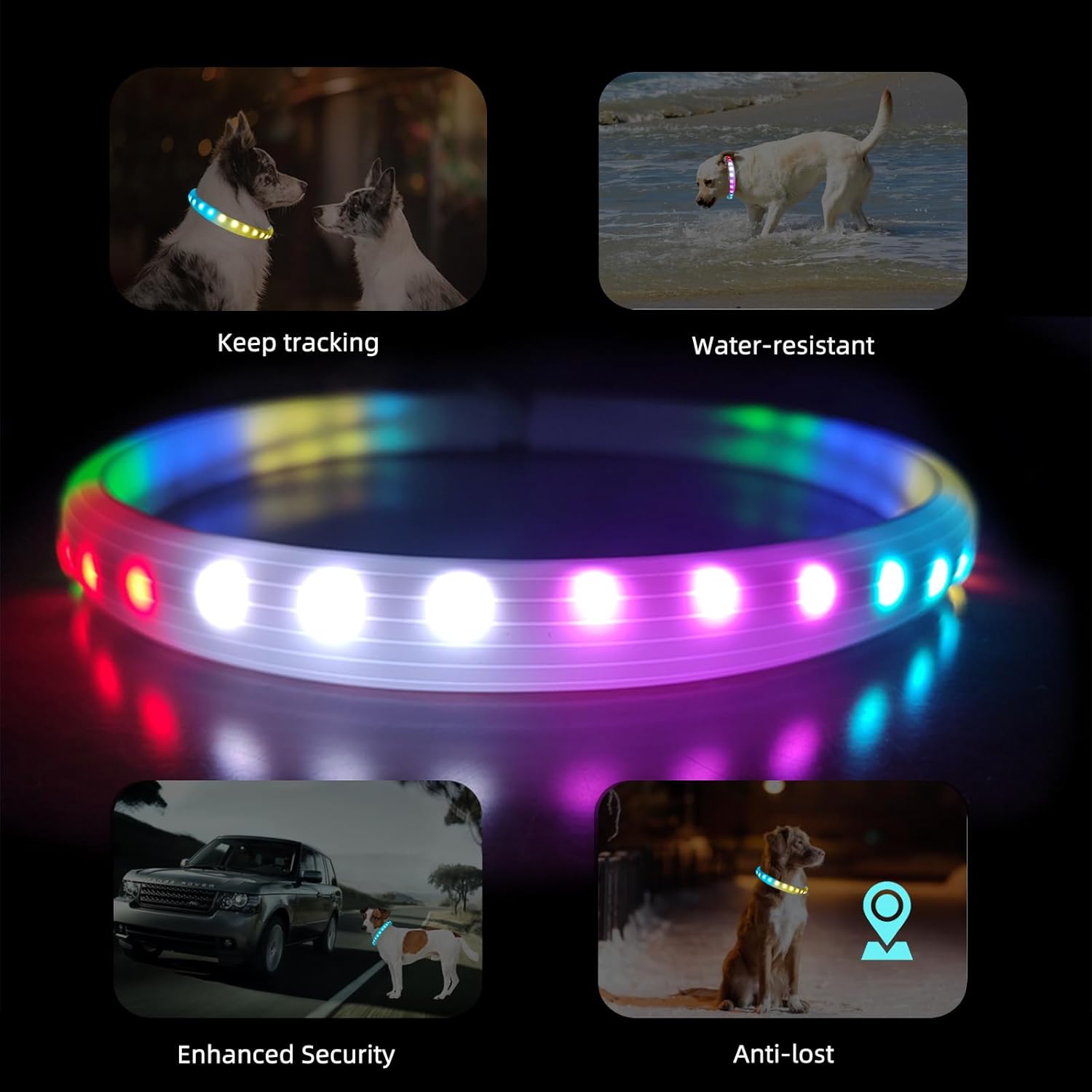 Collares de perro con luz LED, collares de perro recargables iluminados ...