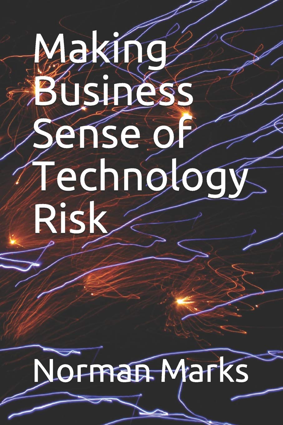 Making Business Sense of Technology Risk: Marks, Norman D ...