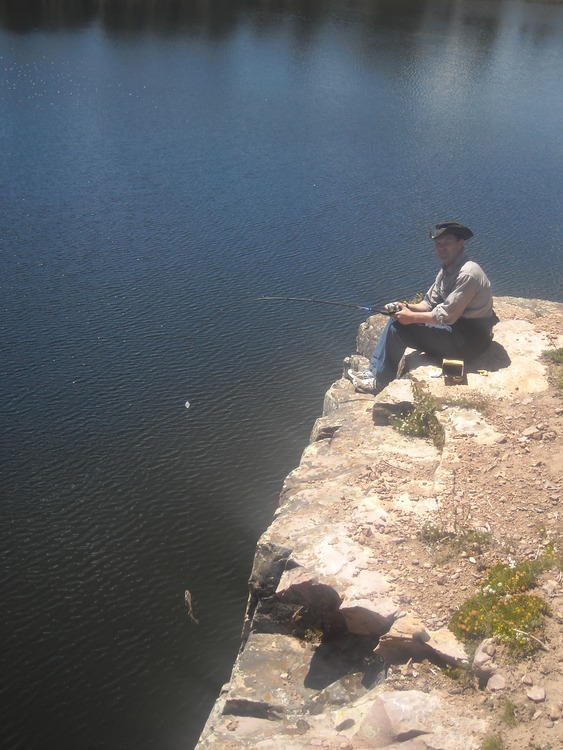 Amazon.com: Mr. Mark E. Mitchell: books, biography, latest update