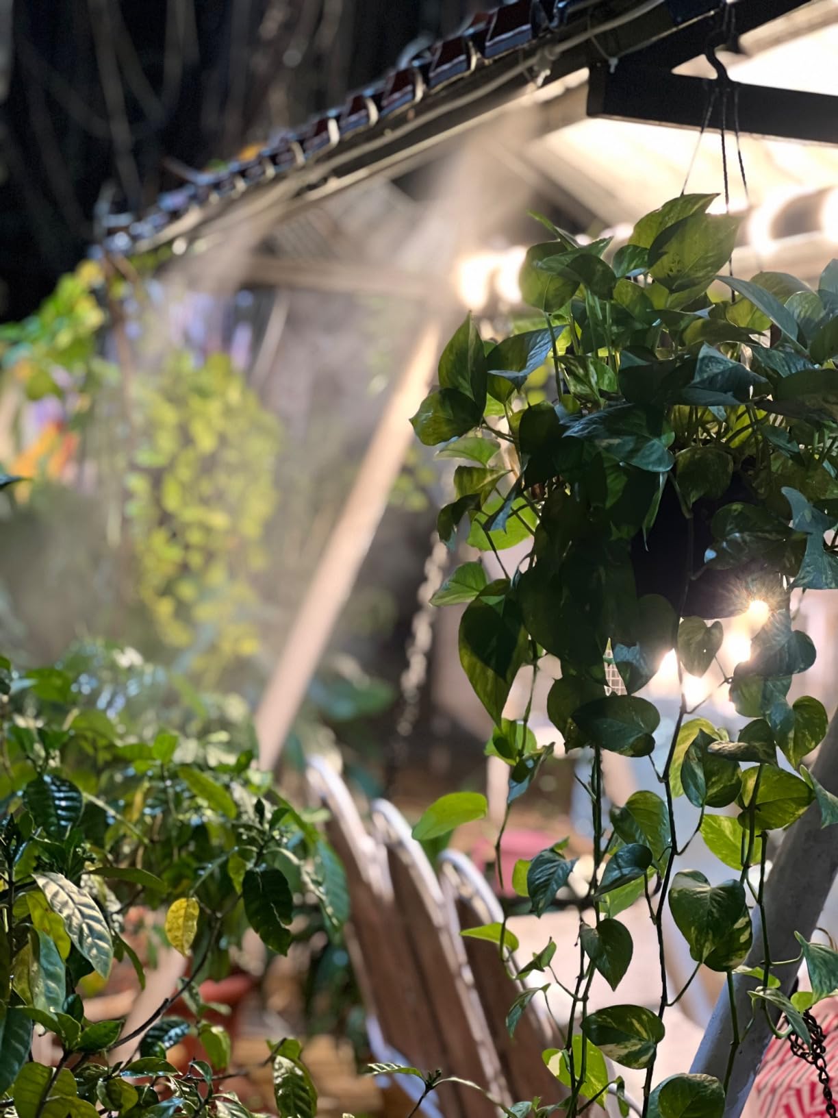 IONIX High pressure Misting System Kit with Nozzles, Mist Pump, smps ...