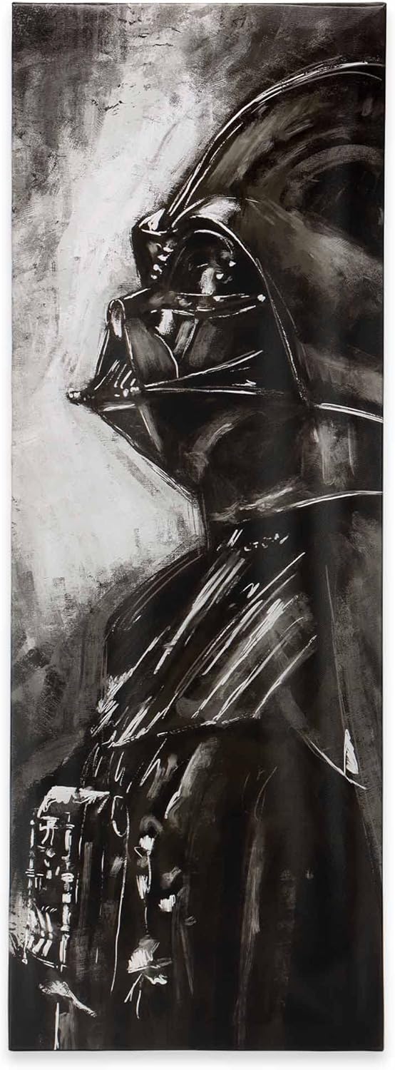 Amazon.com: Open Road Brands Disney Star Wars Darth Vader Side Profile ...