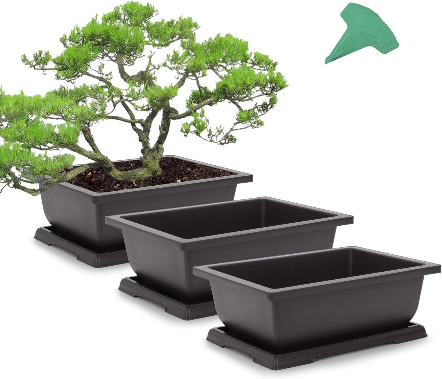 Amazon.com: Large Bonsai Pot and Drip Tray - 11 inch Rectangle ...
