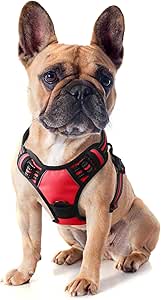 Amazon.com: Funfox Dog Harness No Pull, Adjustable Pet Vest Harness Red ...