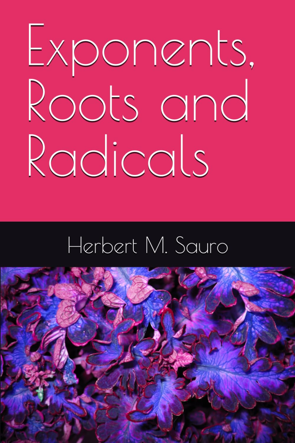 Exponents, Roots and Radicals: Sauro, Herbert M: 9781732548657: Amazon.com: Books