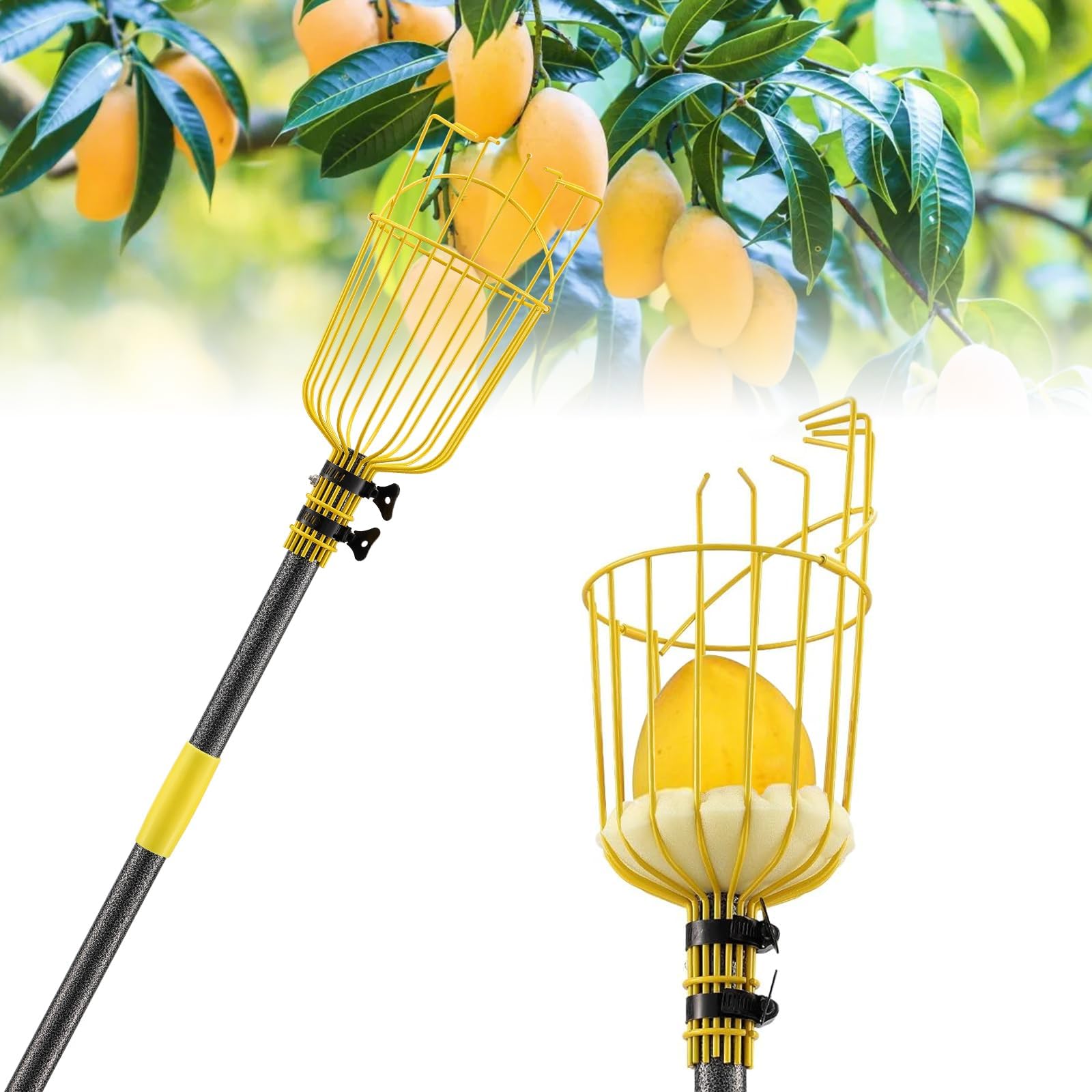 Amazon.com : UQM 10.5FT Fruit Picker Pole with Basket Harvest Bag, 40 ...