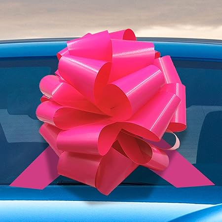 Amazon.com: Zoe Deco Big Car Bow with 2 Gold Accessory Bows (Pink, 23 ...