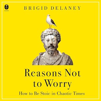 Amazon.com: Reasons Not to Worry: How to Be Stoic in Chaotic Times ...