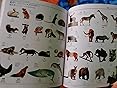 Japanese-English Bilingual Visual Dictionary (DK Bilingual Visual ...