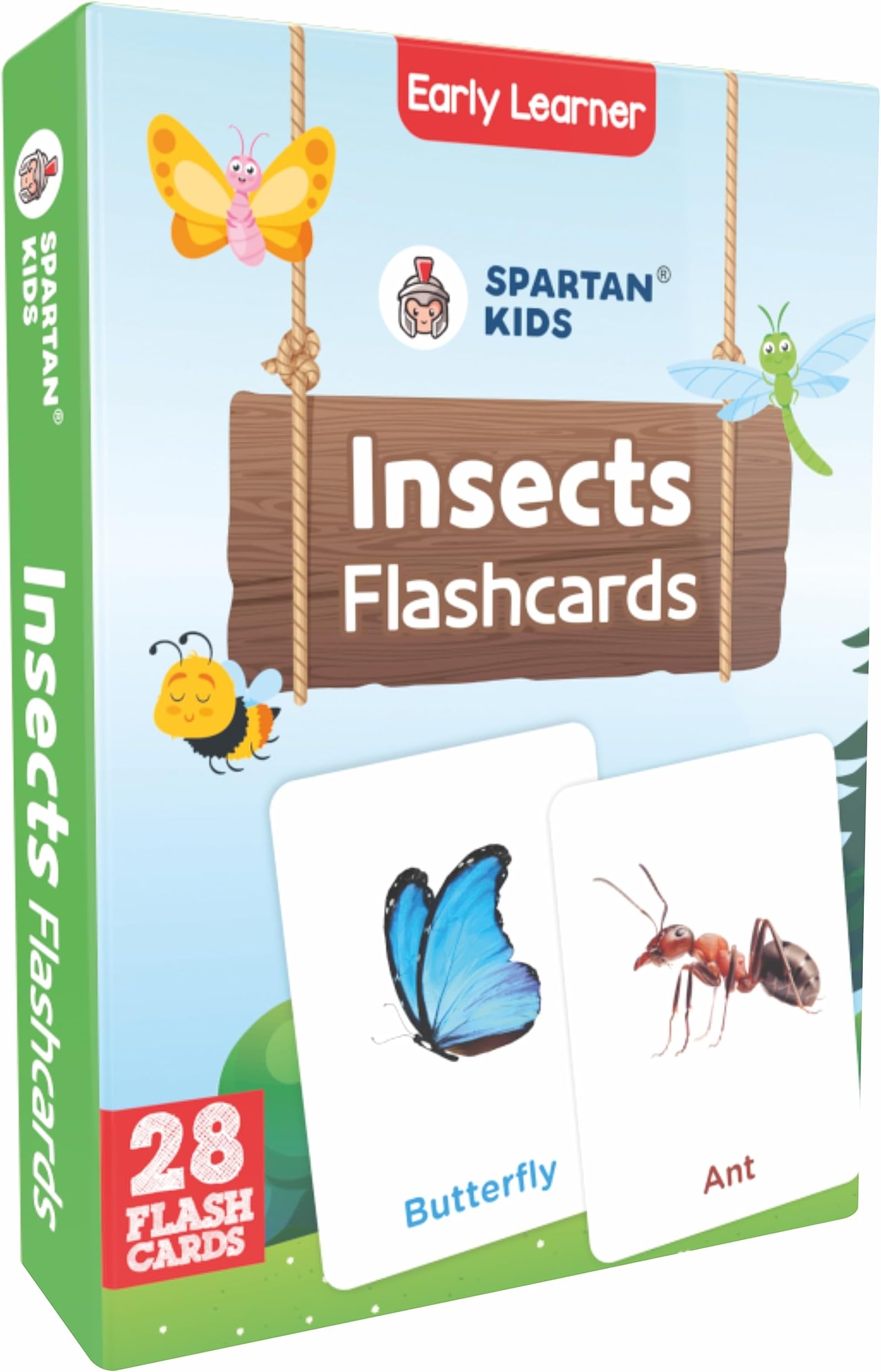 Buy SPARTAN KIDS® Insect Flash Cards for Kids | 28 Early Learning Flash ...