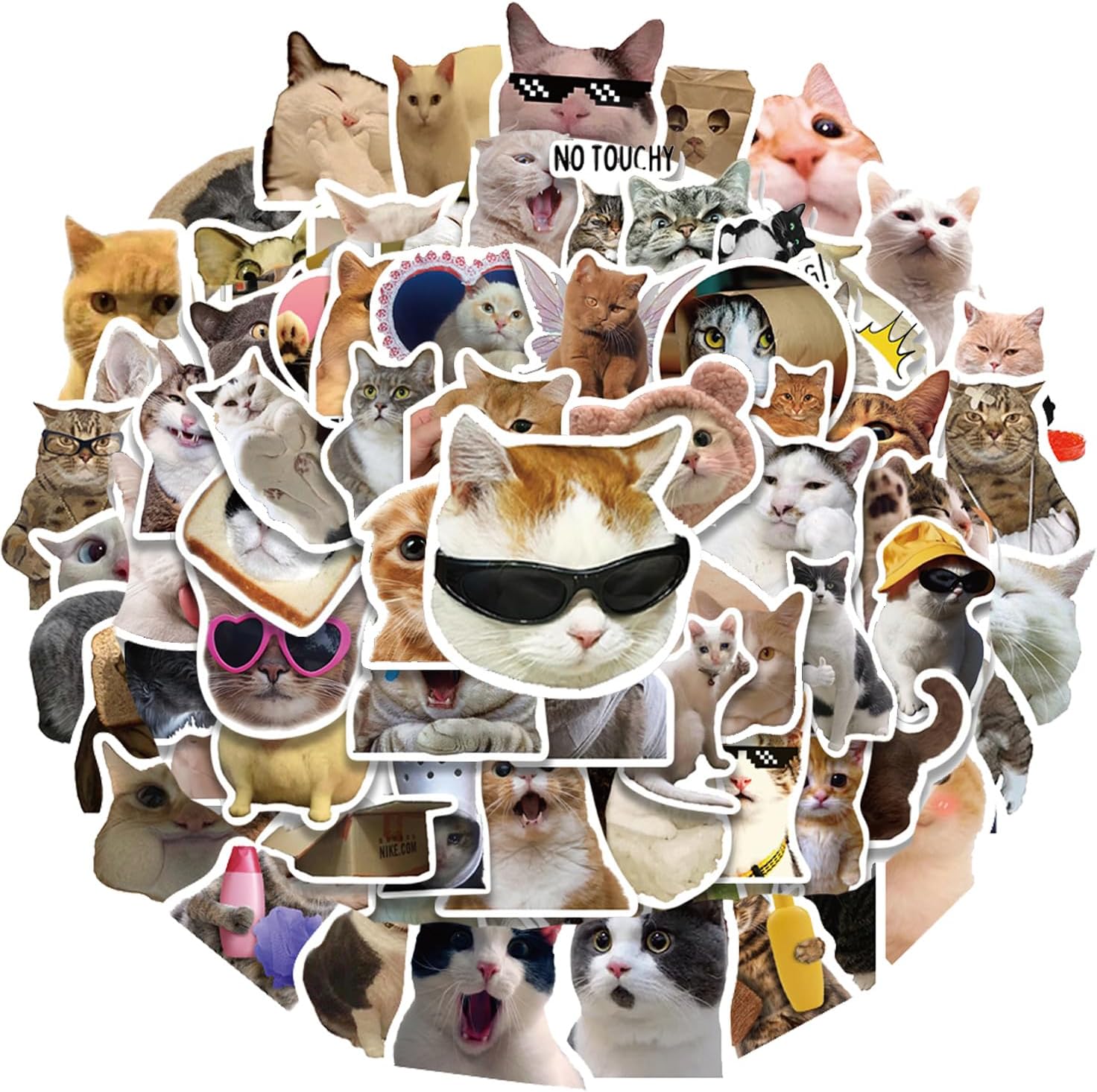 Amazon.com: 100 Pcs Funny Cat Stickers Cute Cat Meme Sticker for Adults ...