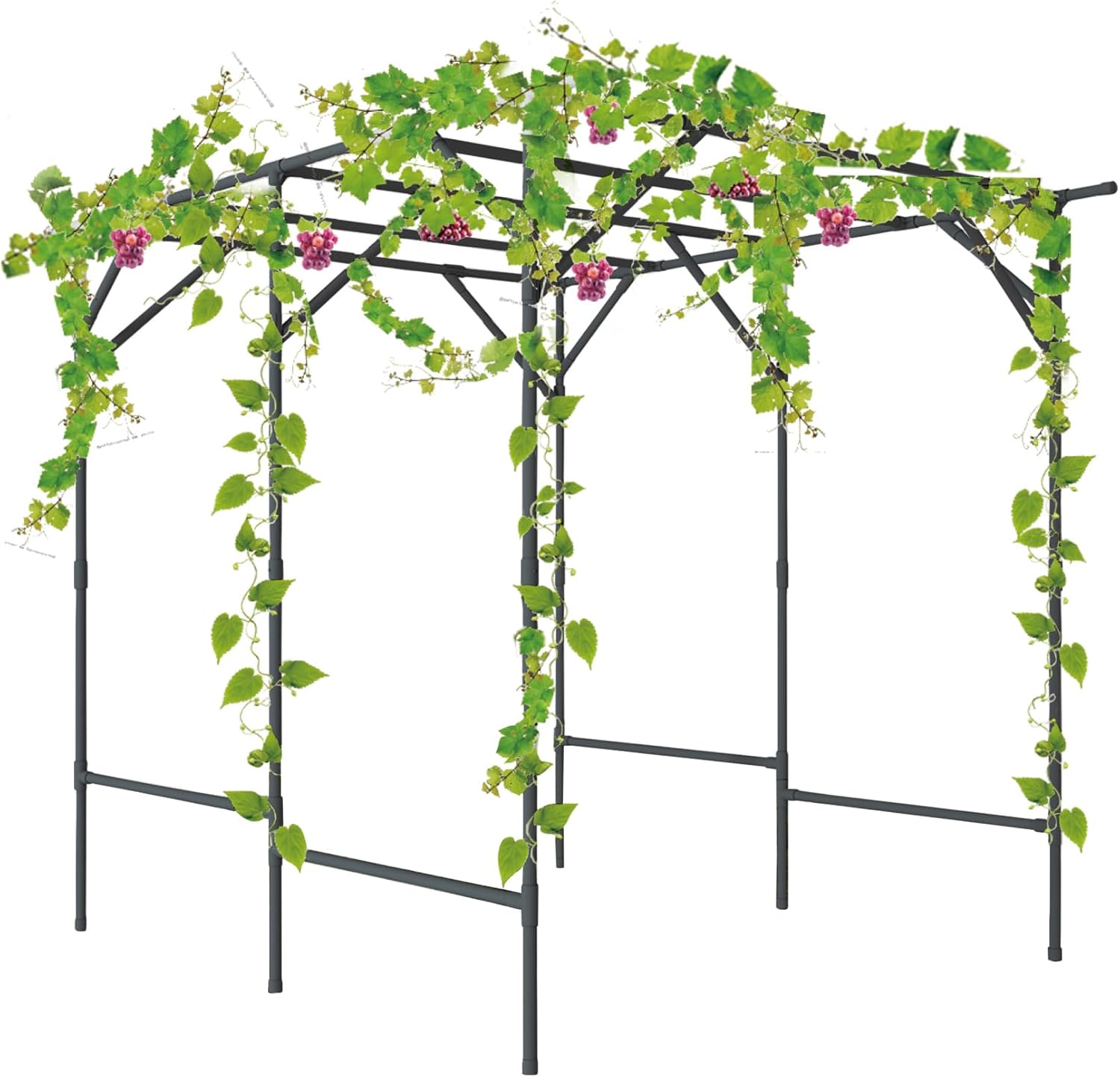 Amazon.com : SHANTRA 79'' L x 59'' W x 79'' H Grape Trellis, Grape Vine ...
