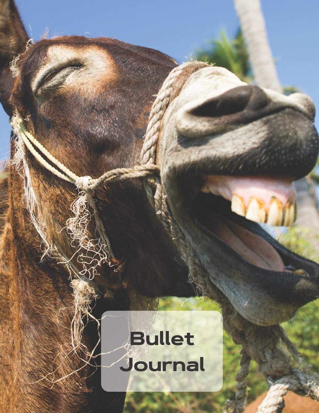 Amazon.com: Bullet Journal: Animal | Dot Journaling 110 pages | Size A4 ...