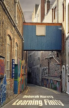 Buy Learning Finity Book Online at Low Prices in India | Learning ...