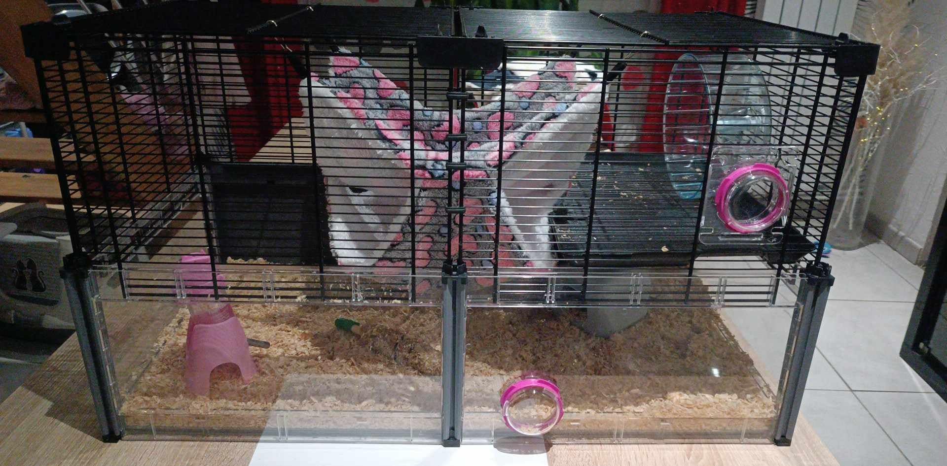 FERPLAST - Cage Hamster - Cage Souris - Cage Hamster Grande - Grillage ...