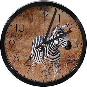 Amazon.com: Zebra Pattern Wall Clock, Silent Non Ticking Battery ...