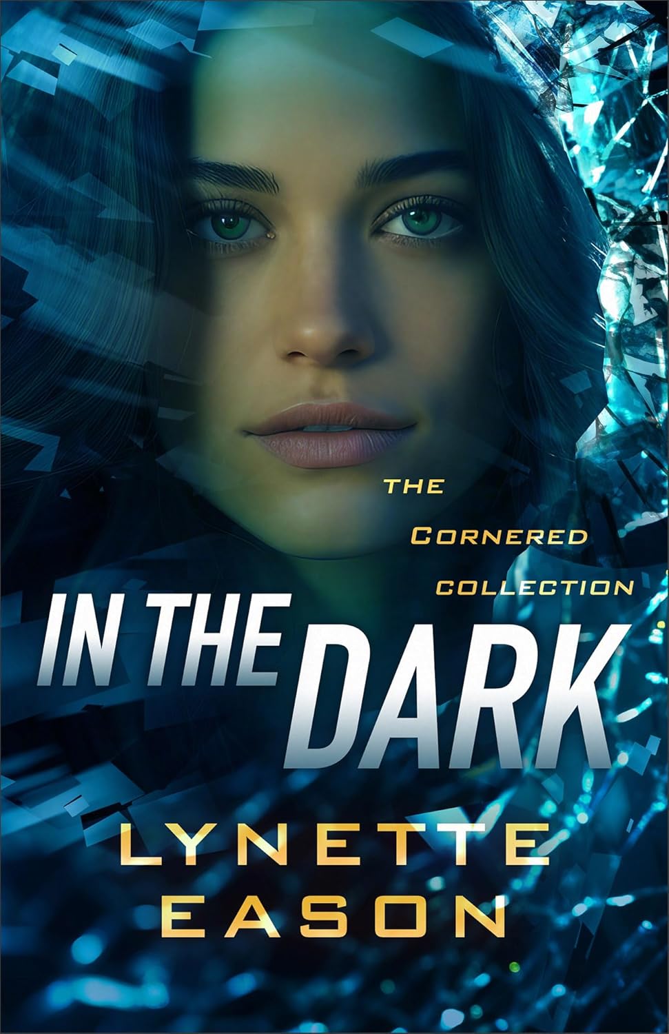 In the Dark (): (Police Detective Romantic Suspense Thriller) - Kindle edition by Eason, Lynette ...